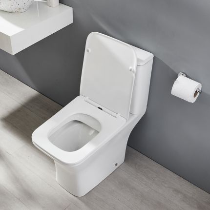 Collection Complète de Toilettes WC Design Modernes ou Rétro